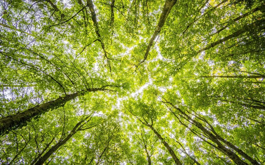 파일테스트 > 인재정보 | 114114구인구직